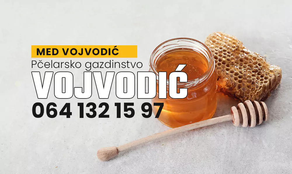 Med Vojvodić | Med Vojvodic
